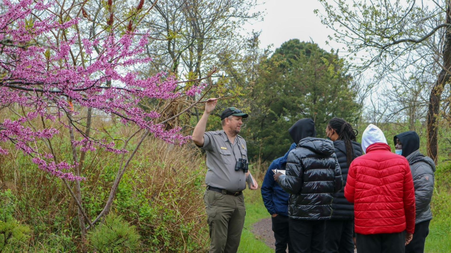 Greening STEM Activities, Lessons, and Curricula | The National Environmental Education ...